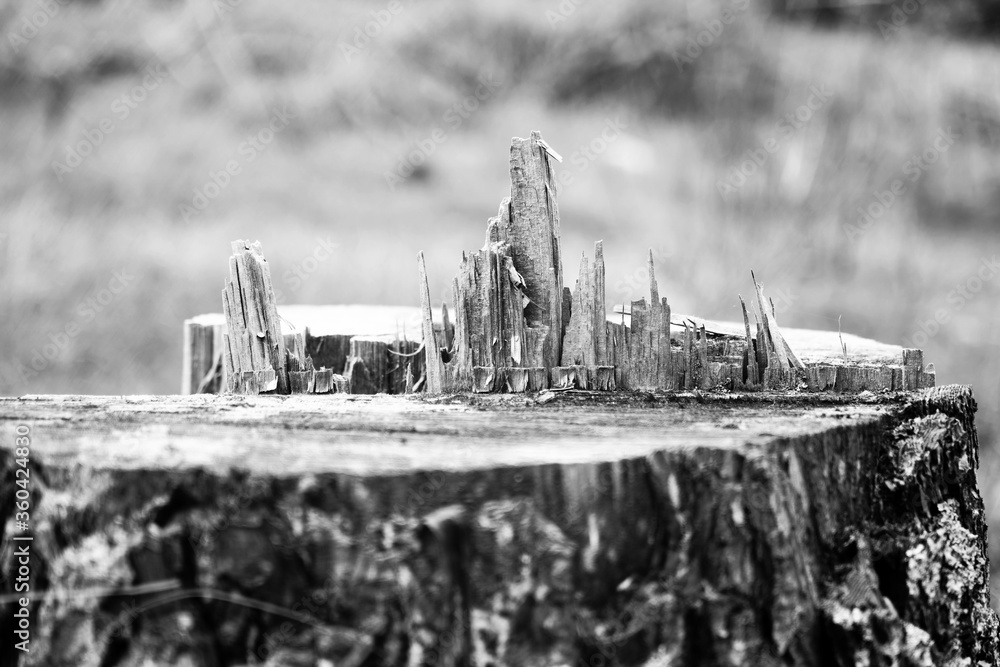 black and white photography of random patterns naturally formed on the ...