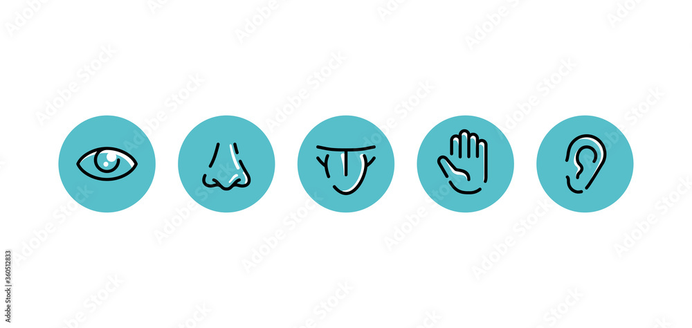 Five basic human senses - touch, sight, hearing, smell and taste ...