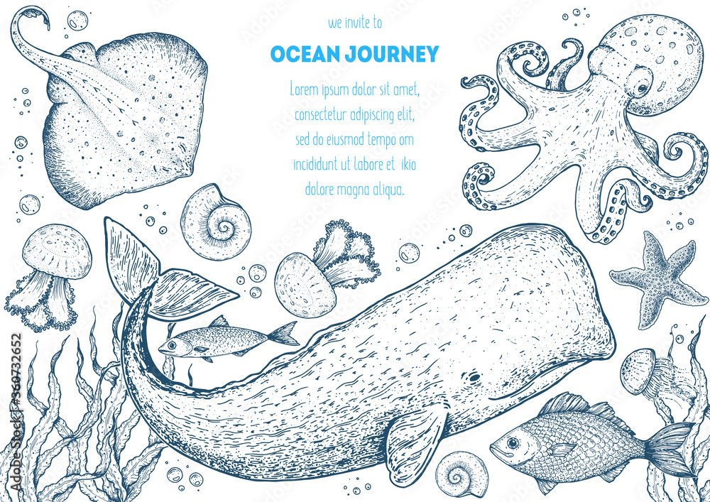 Sea animals hand drawn collection. Sketch illustration. Cachalot, cramp ...