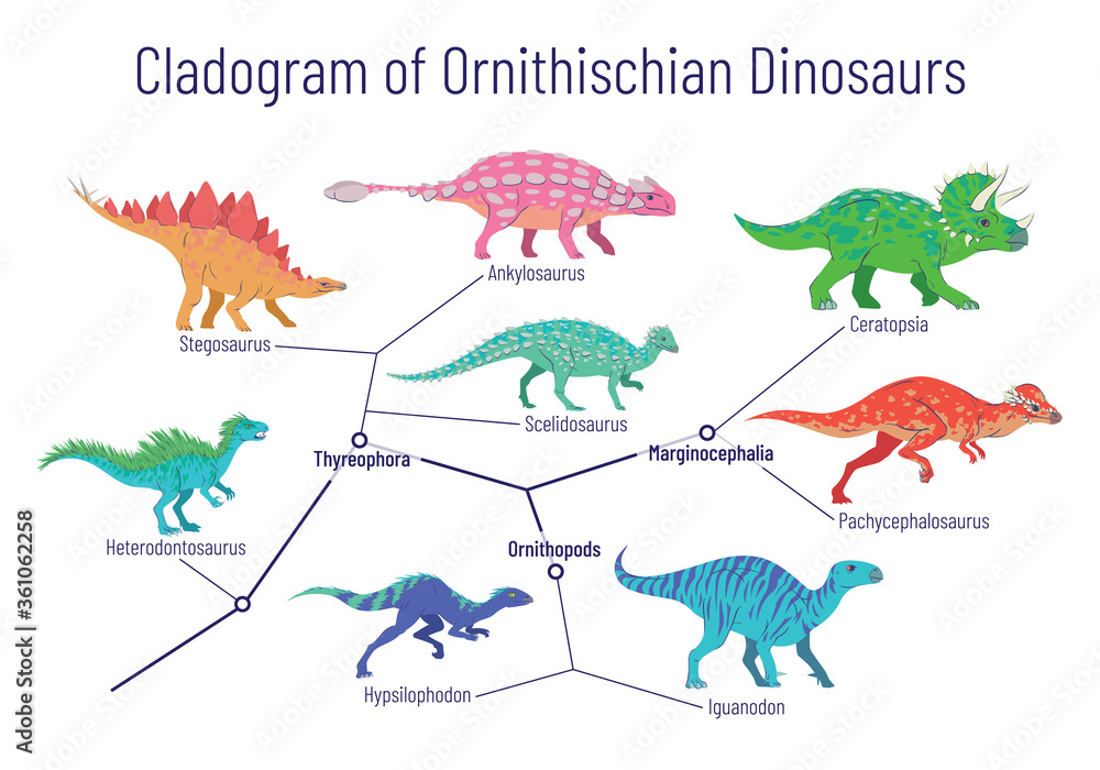 Image vectorielle Stock Cladogram of ornithischian dinosaurs. Vector ...