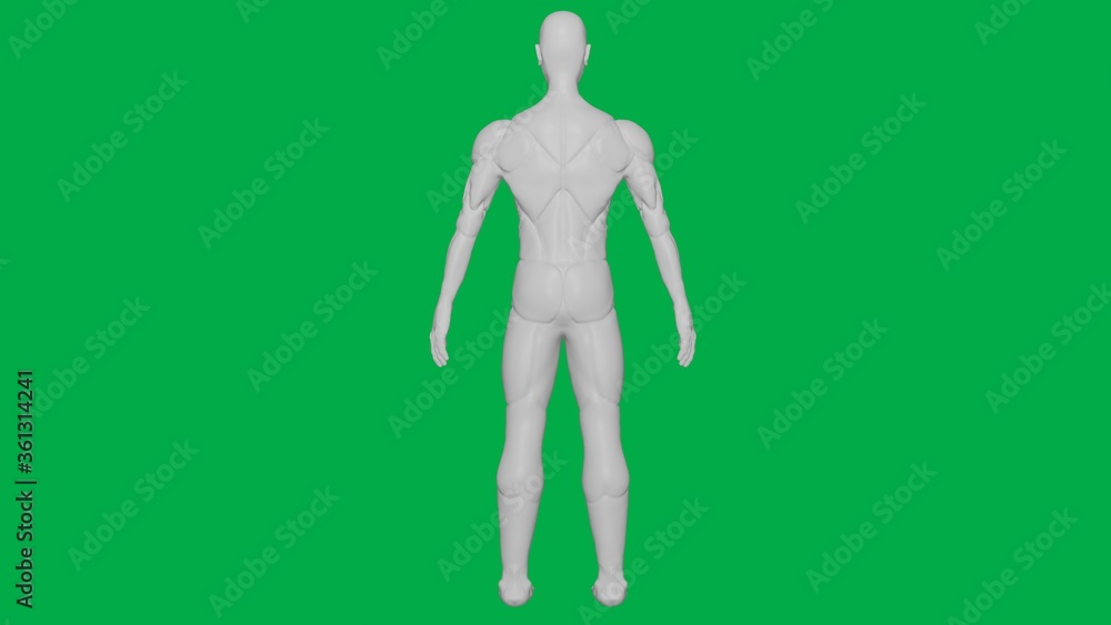 3D Rendered Muscular anatomical Human/AI Mannequin Sculpture model on ...