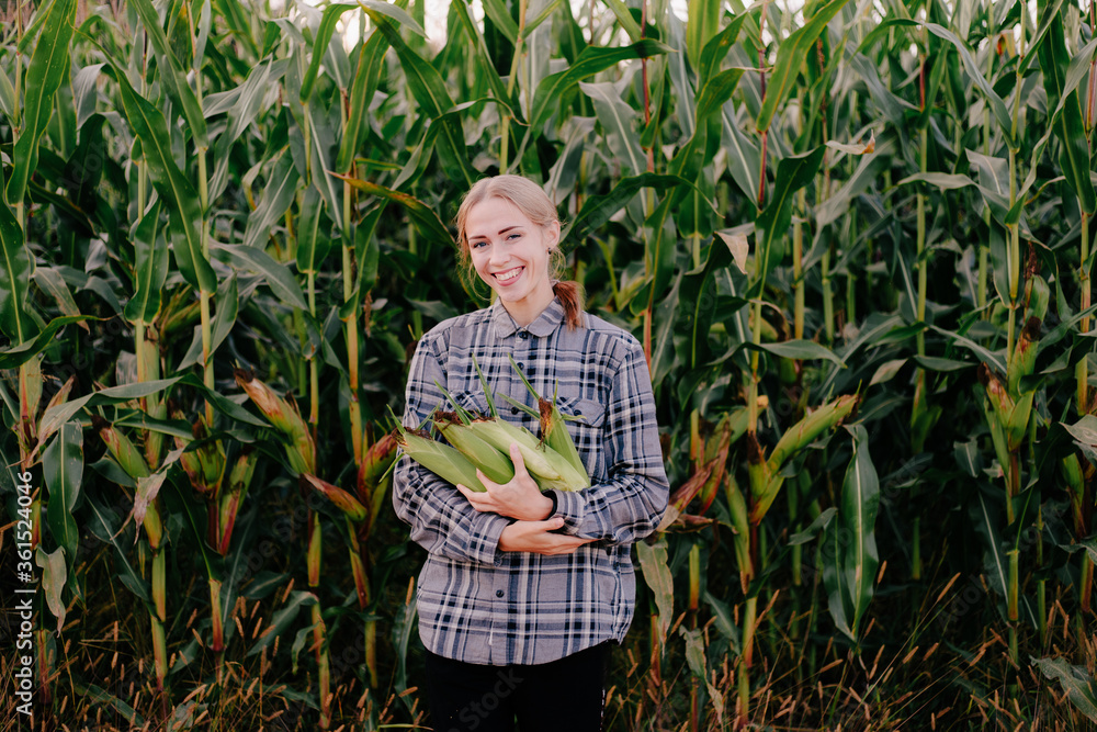 Stock-Foto „Beuatiful positive blonde girl in corn field with maze in ...