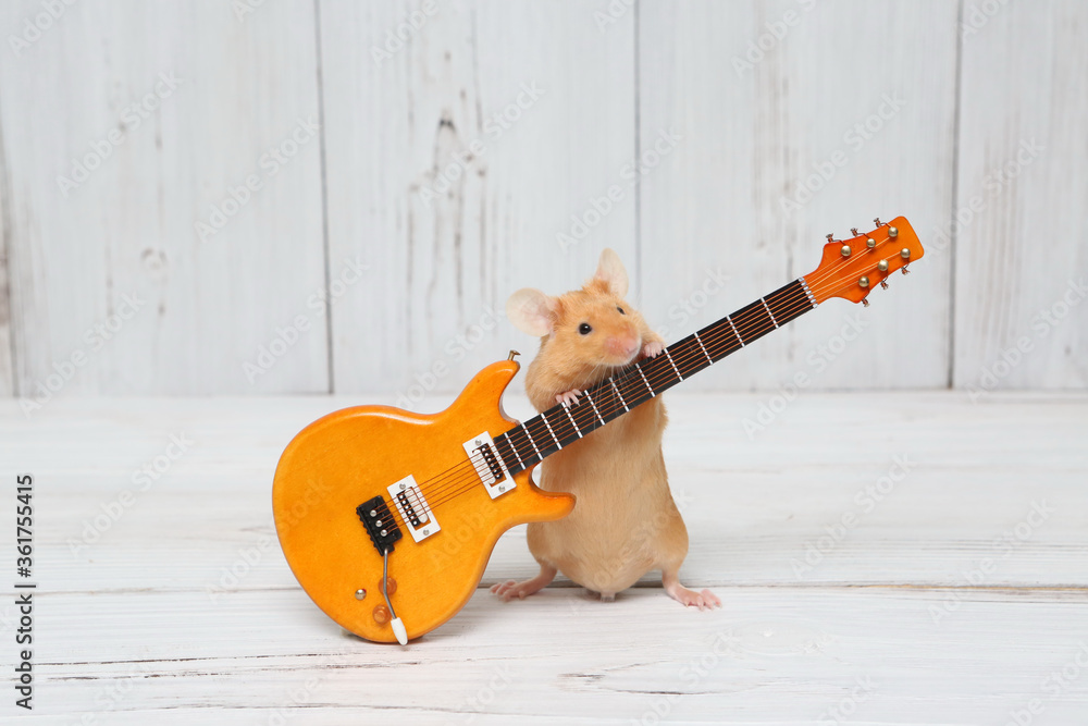 Сute mouse plays guitar, sings. Fun pet fond of music. Talented animal ...