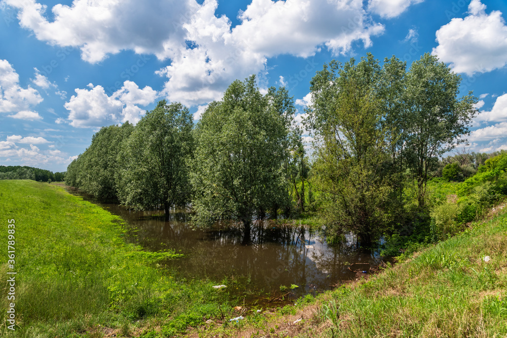 Nature background of flooding with trees in water. Natural disaster ...