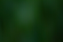 Olive Gradient Background Free Stock Photo - Public Domain Pictures