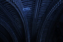 Fractal Pipes Free Stock Photo - Public Domain Pictures