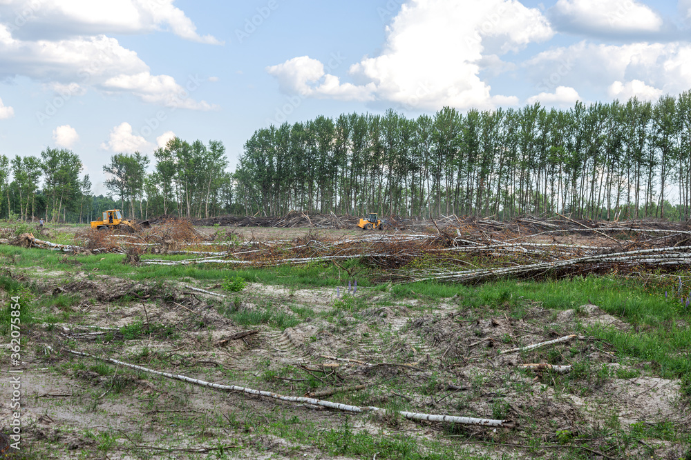 Foto de Stock Area of illegal logging. Forests Deforestation humans are causing global warming ...