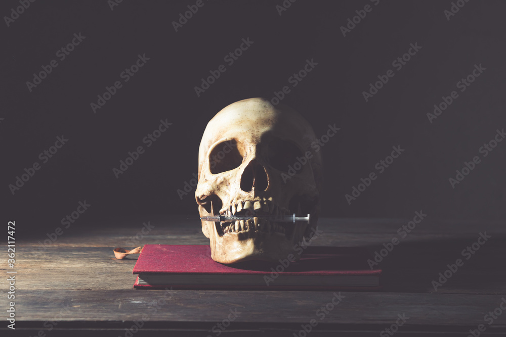 Still life of human skull that died for a long times ,concept of Drug ...