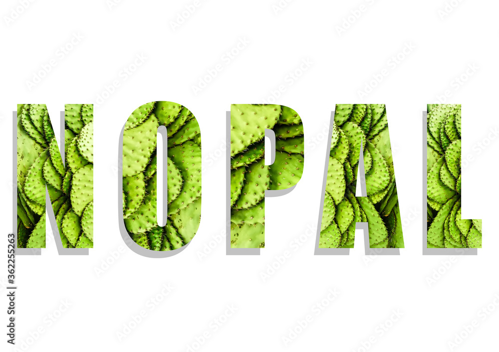 La palabra NOPAL escrita usando de relleno varias fotos de nopales ...