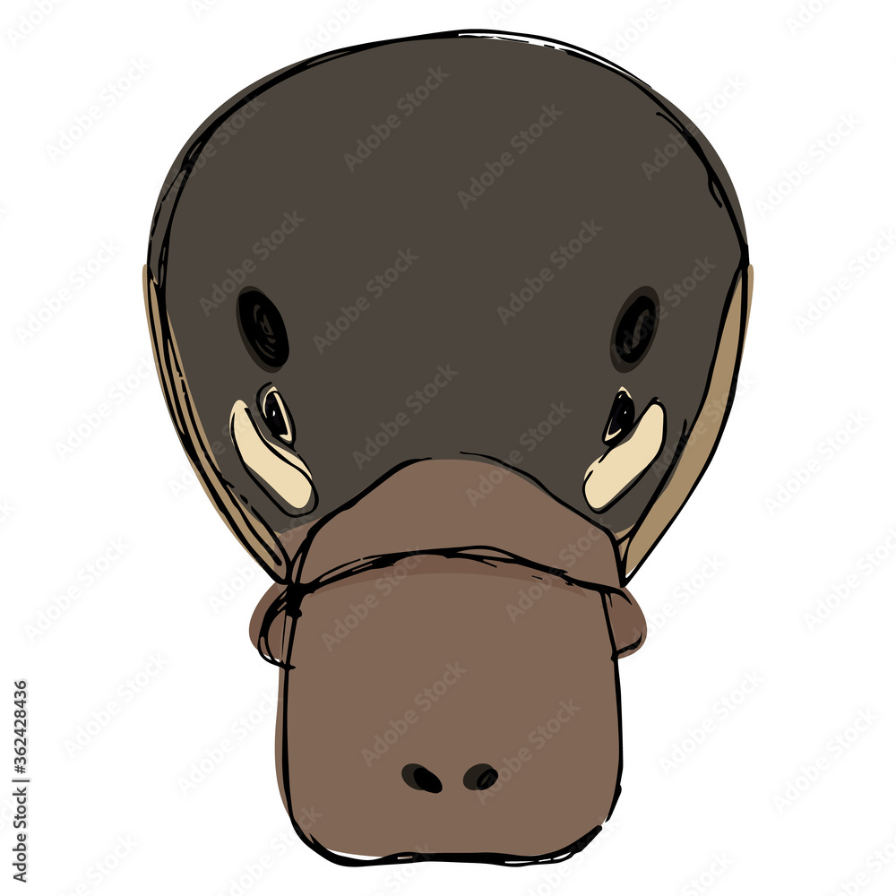 Stylized face of a Platypus. (Ornithorhynchus anatinus). Isolated ...