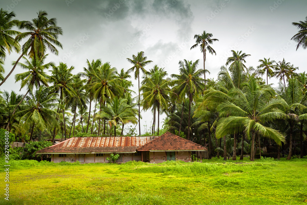 Tropical Indian village with coconut palm trees at kerala, india Stock ...
