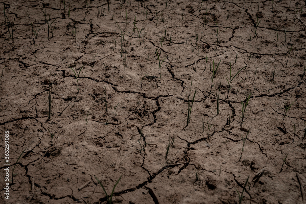 soil crack on an agriculture farm which effect of climate changed ...