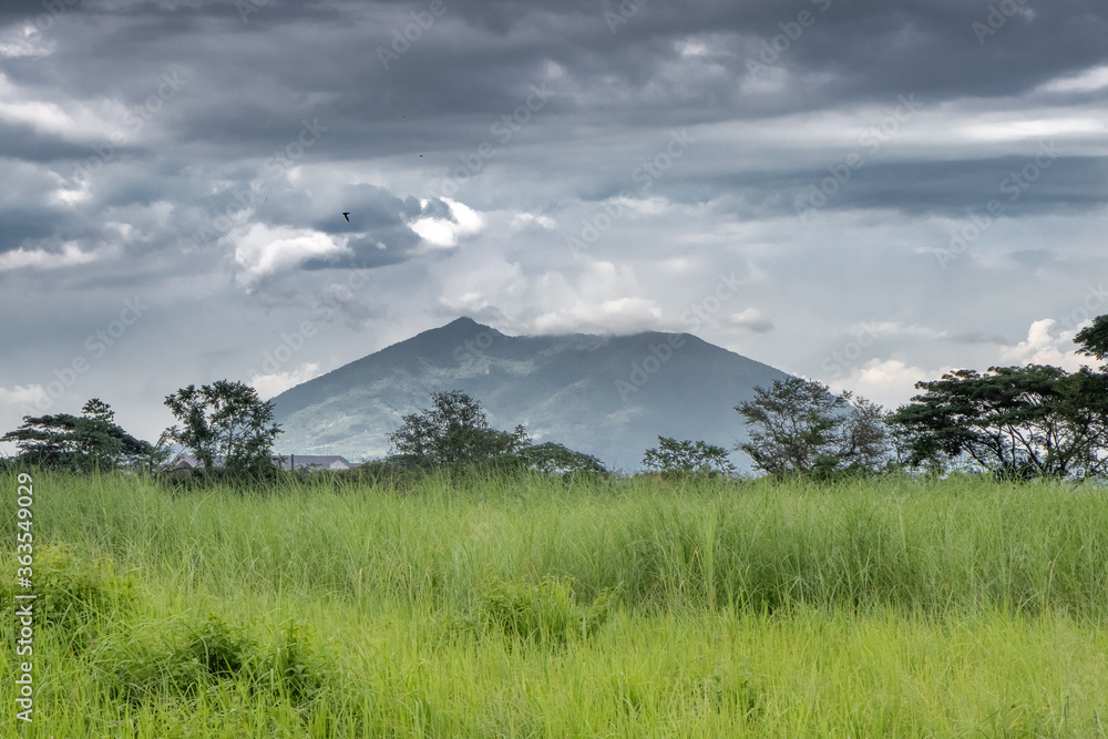 Grassy Field and Beautiful Volcano in Distance at Dusk - Mt. Arayat ...