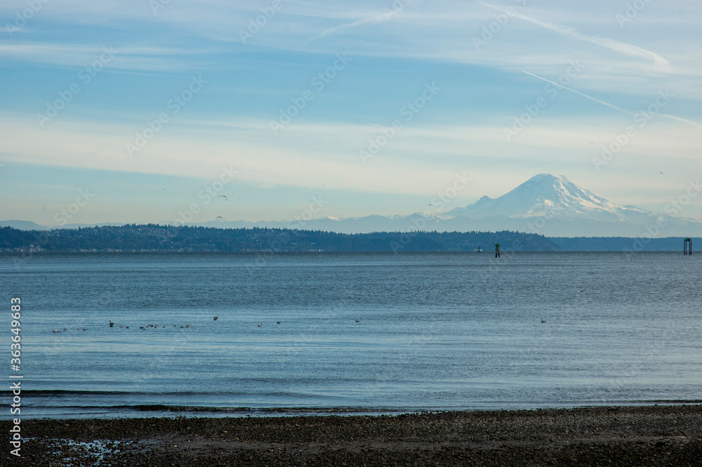 Foto de Stock Mount Rainier and Puget Sound as seen from Hawley Cove on ...