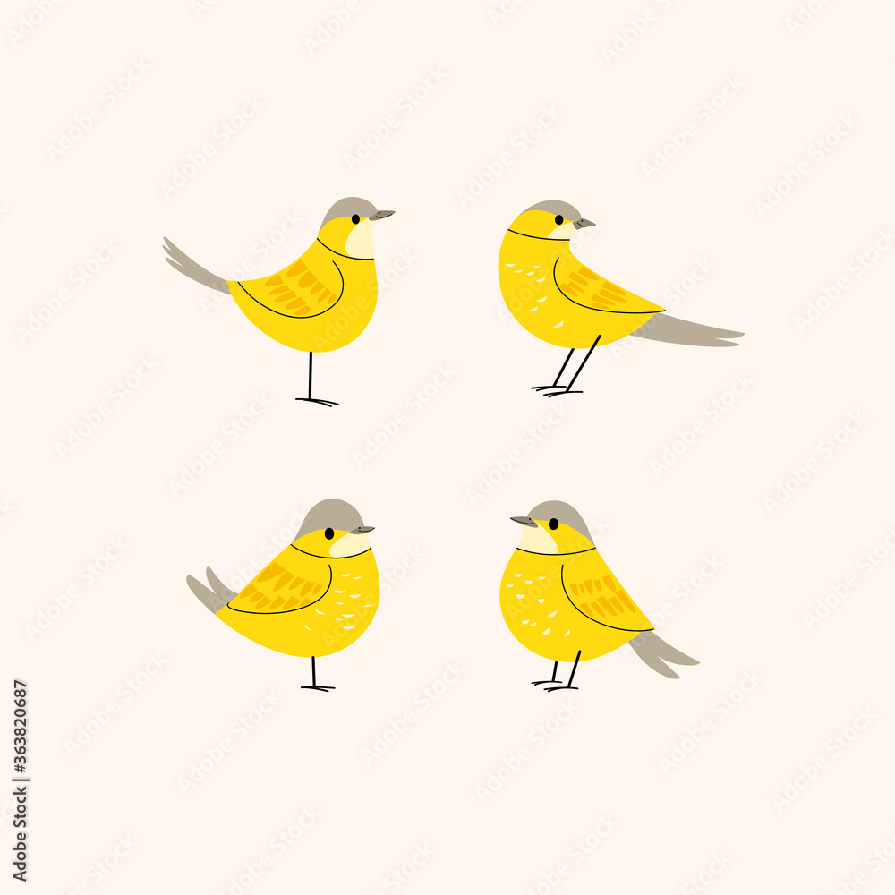 Stock-Illustration „Cartoon bird icon set. Different poses of wagtail ...