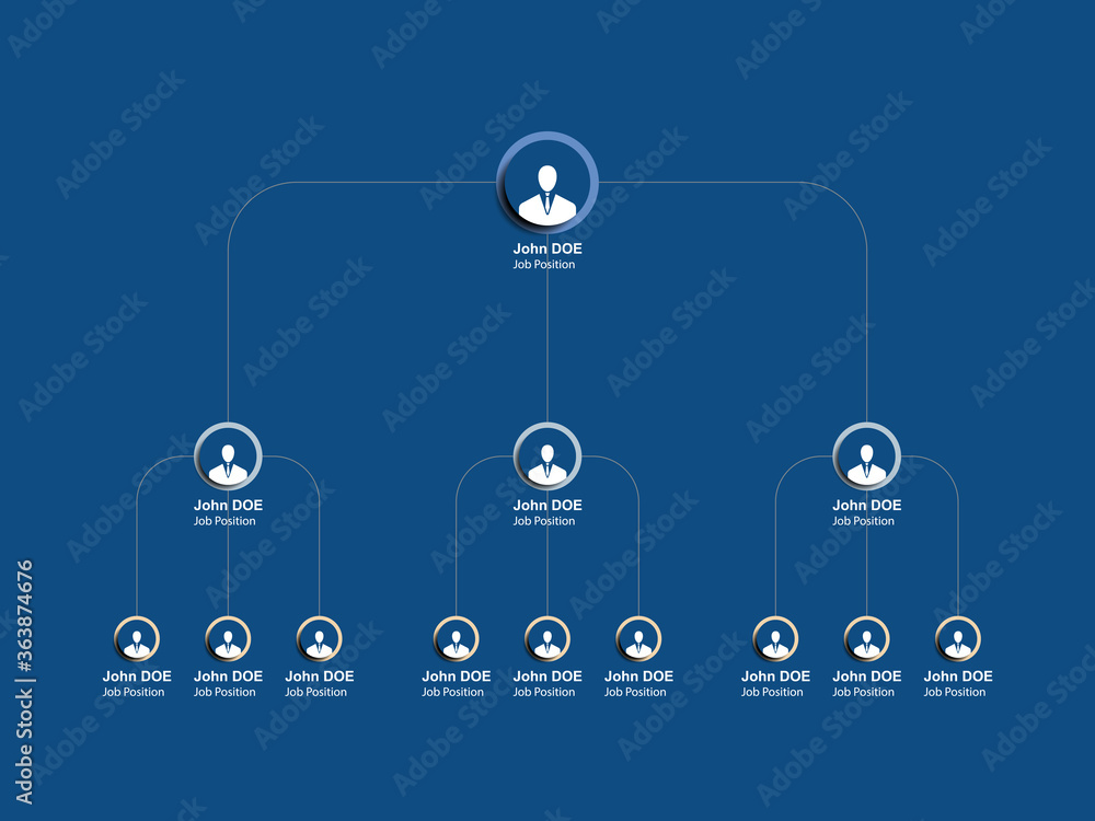 multi-level business management structure. business hierarchy ...