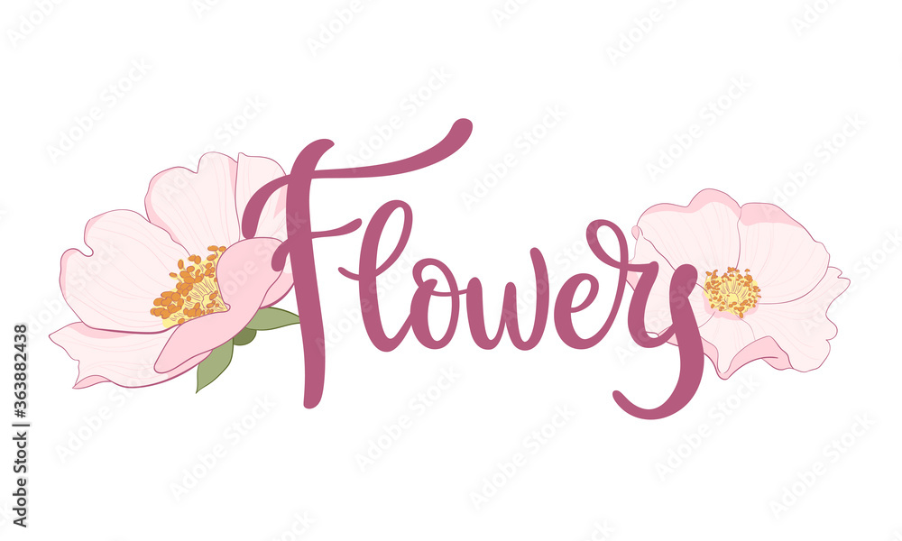 Rosa canina, briar, dog-rose hand drawing illustration with lettering ...