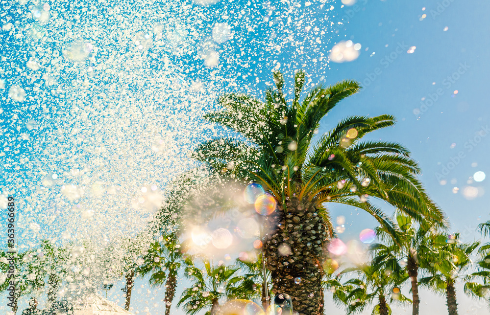 Palm trees with bubbles and defocused soap foam from pool party blower ...