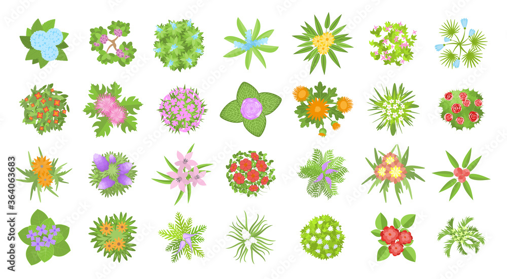 Vector set. Flowers. Top view. Collection of different flowers for ...