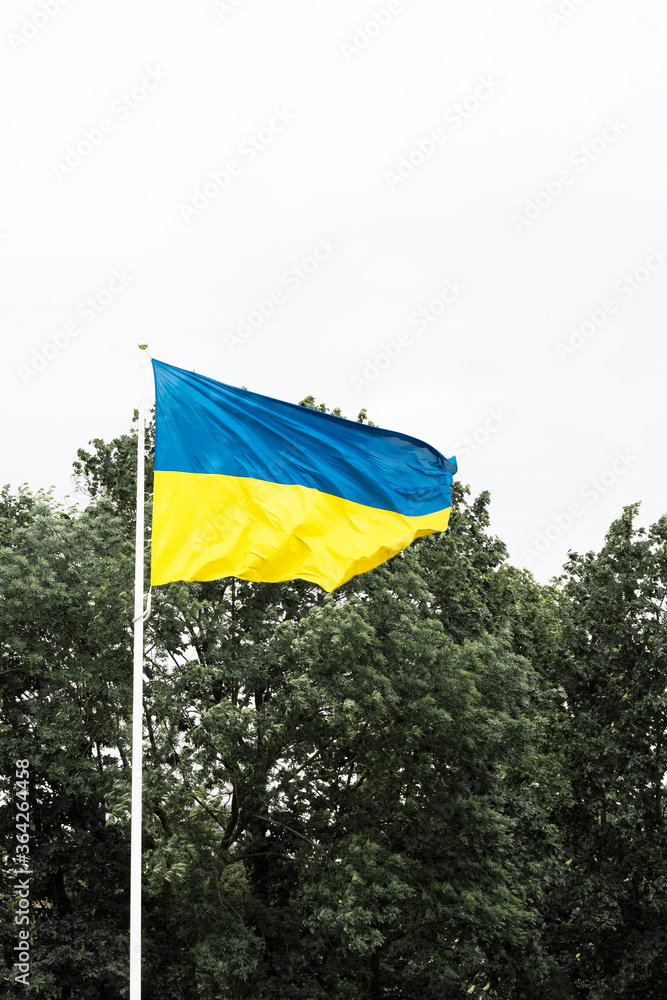 Ukrainian flag flying on a flagpole in against the white sky and trees ...