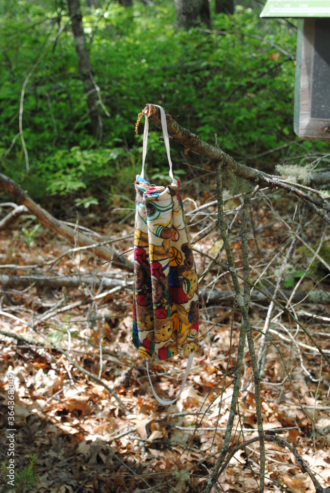 Foto Just one of many, many pieces of "mask trash" now littering our lovely forest trails since ...