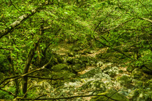 Dry Riverbed Path Free Stock Photo - Public Domain Pictures