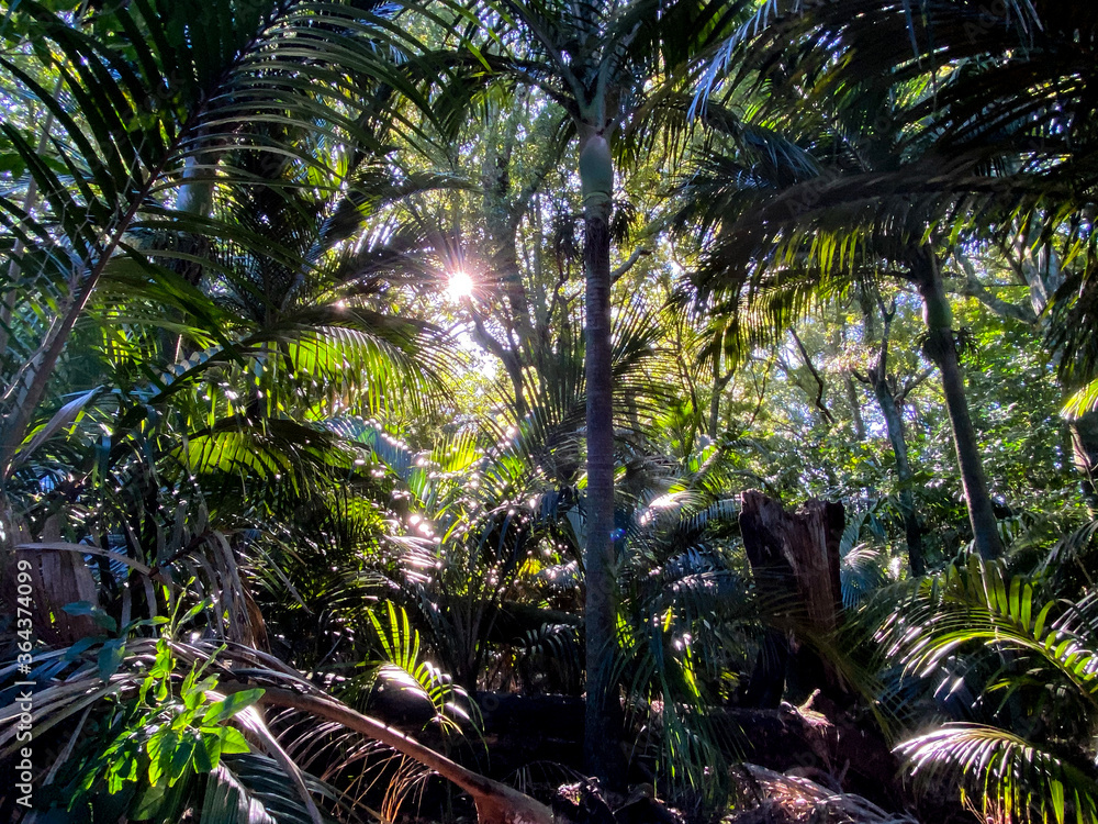 Hukutaia Domain ranks as one of Opotiki's main attractions. It is a 5 ...