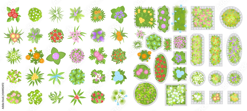 Flowers and flower beds. Top view. Collection of different flowers for ...
