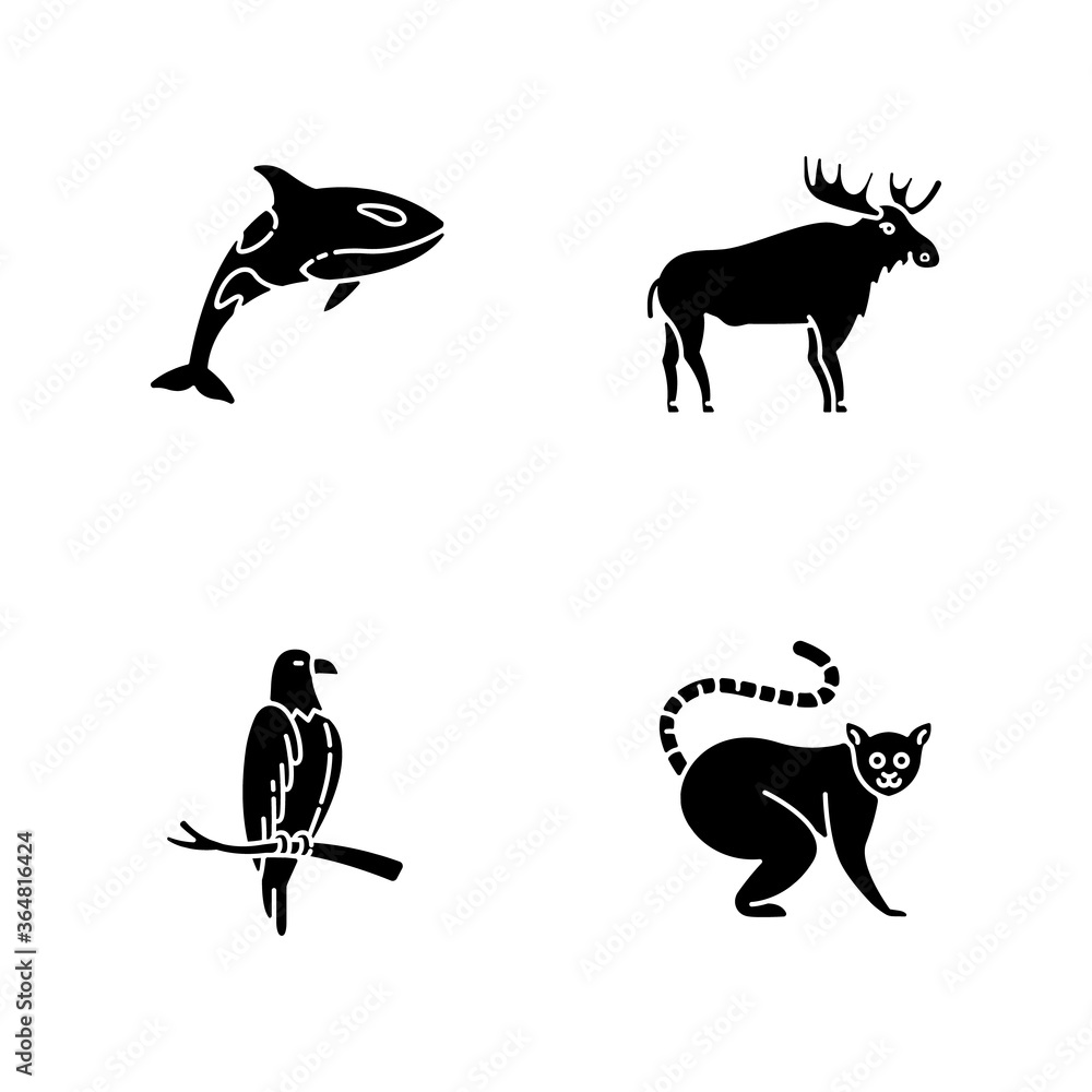 Different animal species black glyph icons set on white space. Killer ...
