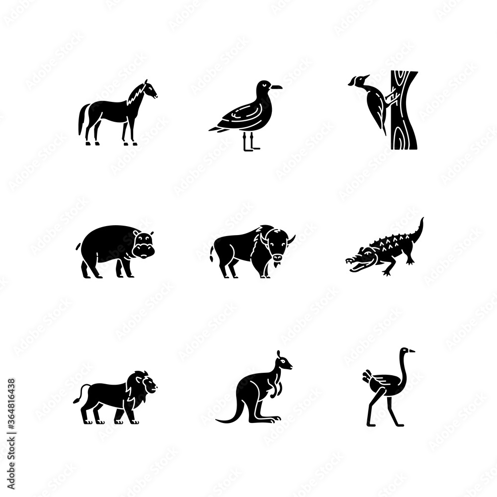 Flying and land animals black glyph icons set on white space. Common ...