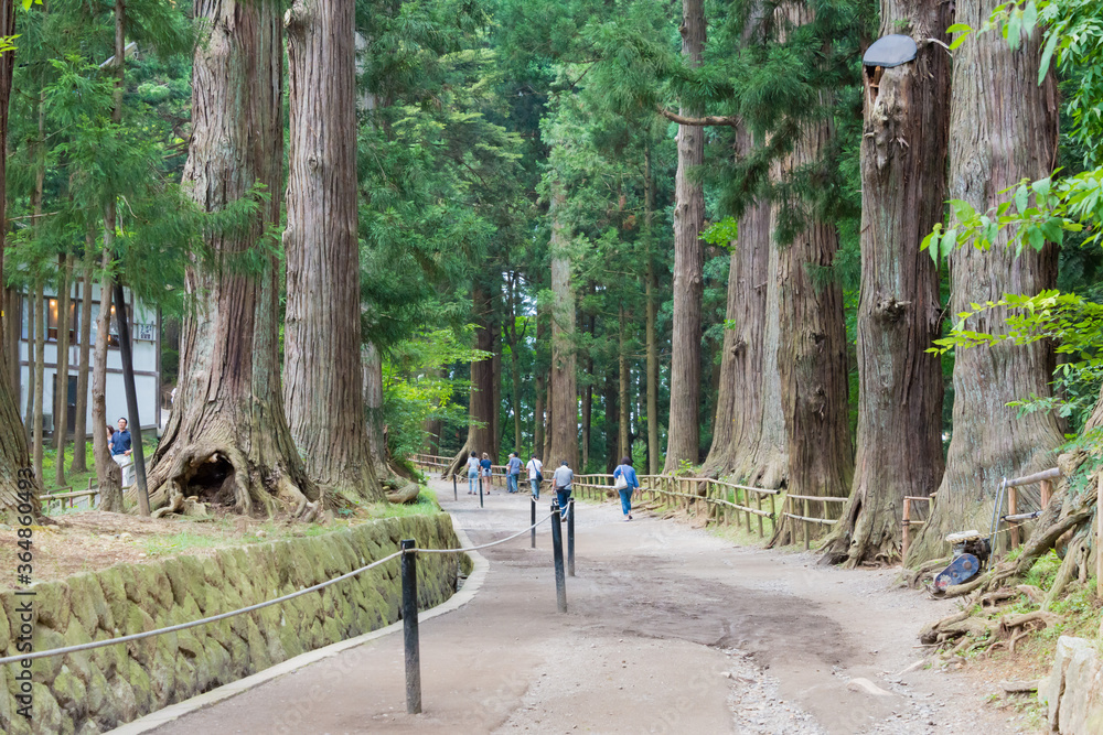 Approach to Chusonji Temple in Hiraizumi, Iwate, Japan. It is part of ...