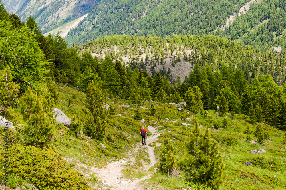 Val Roseg, Ova da Roseg, Rosegbach, Rosegtal, Hochtal, Wanderweg ...