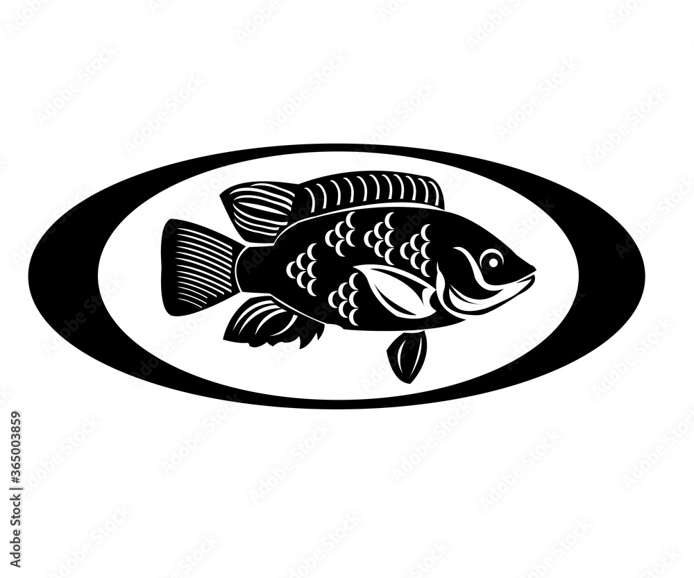vector illustration of a tilapia fish Stock Vector | Adobe Stock