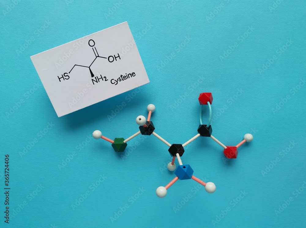 Molecular structure model and structural chemical formula of cysteine ...