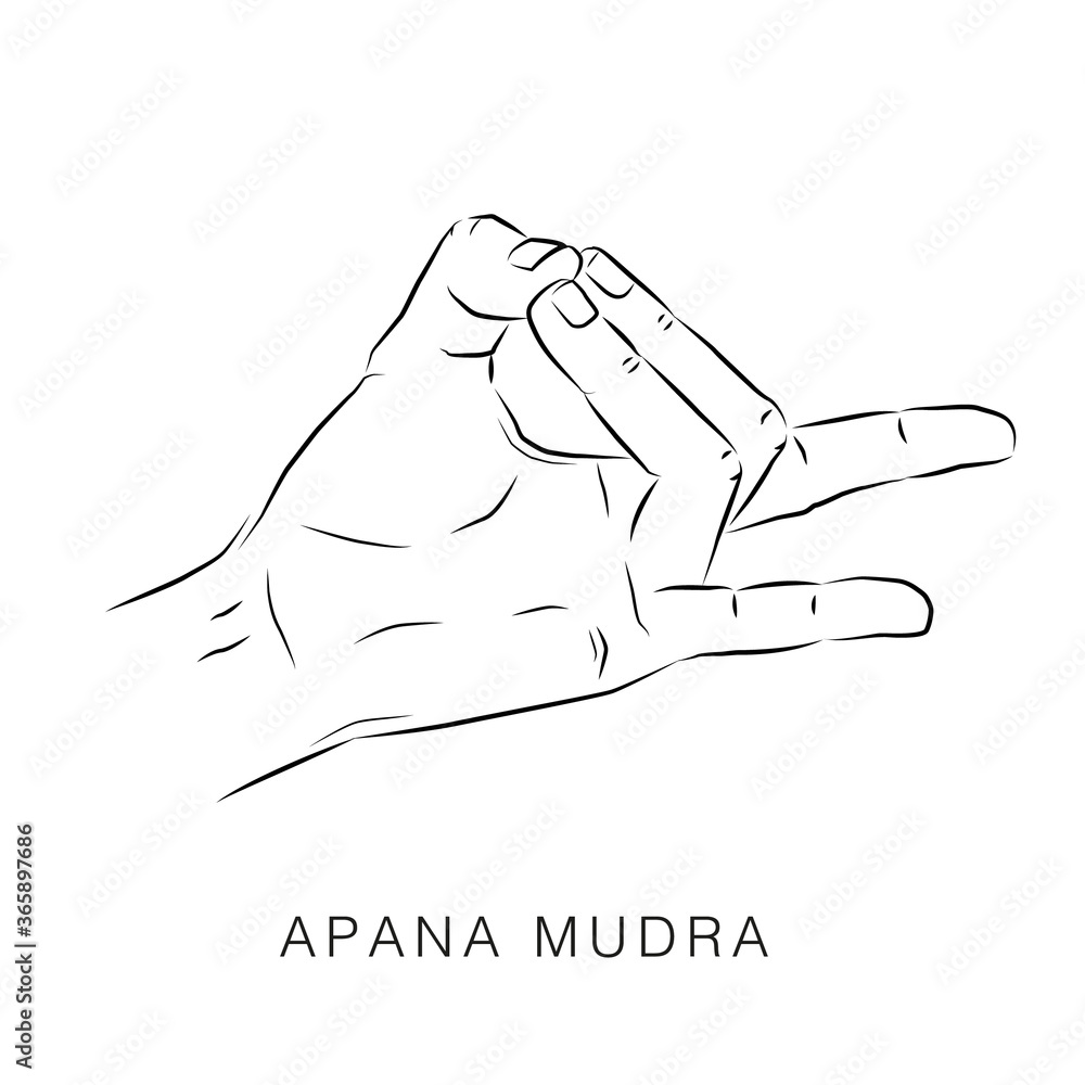 Apana Mudra, yoga hand gesture, meditation pose Stock Illustration ...