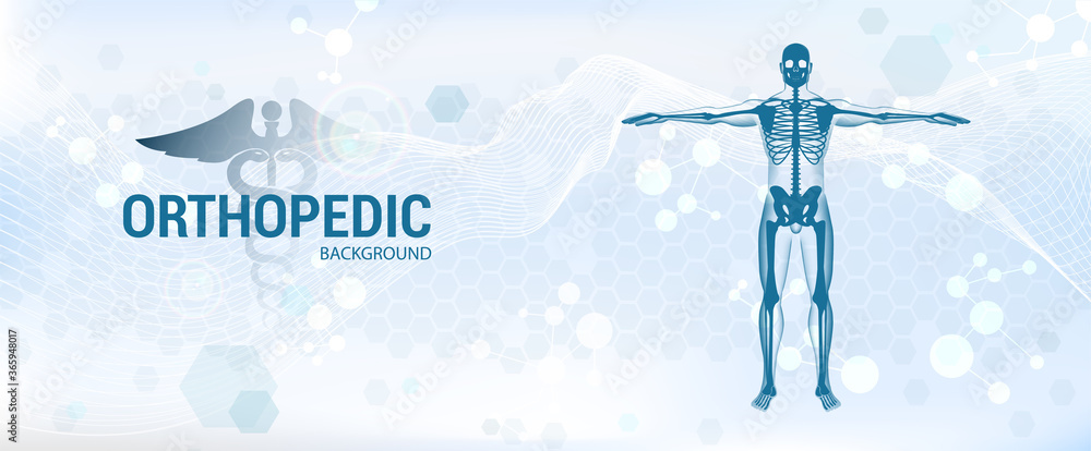 Healthcare orthopedic anatomy banner with 3D skeleton. Medical ...