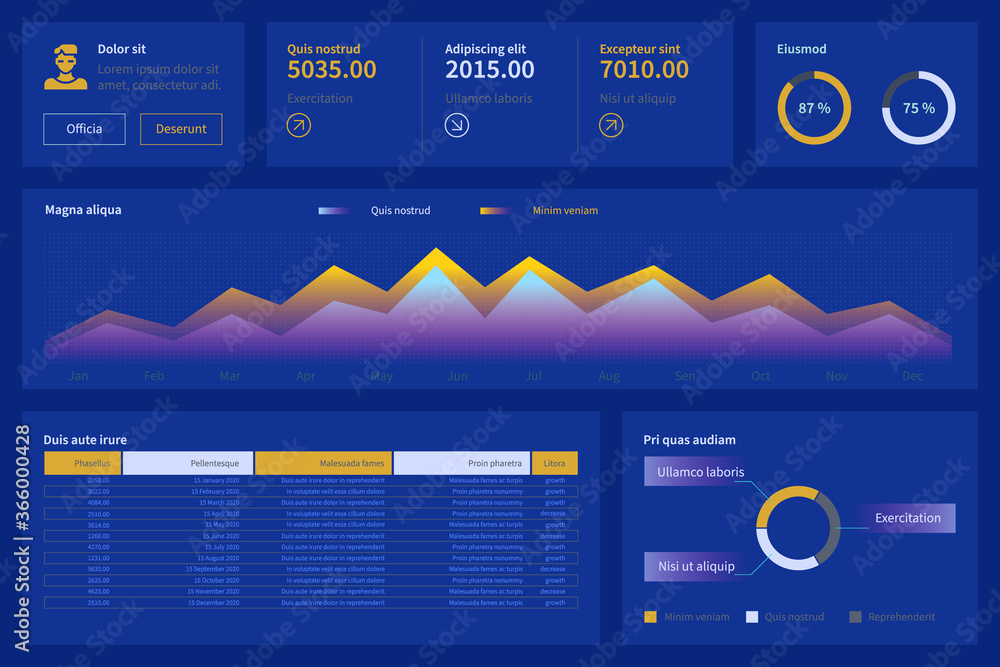 Dashboard with infographic elements, charts, diagrams, processes ...