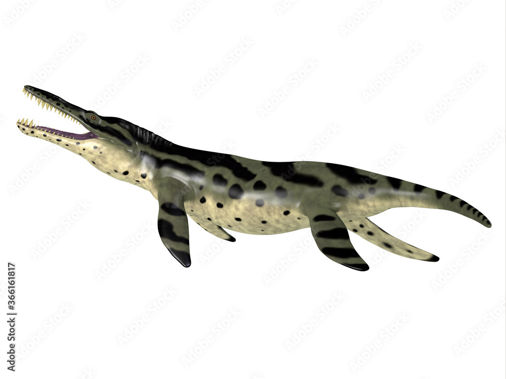 Kronosaurus Reptile Side Profile - The carnivorous marine reptile ...
