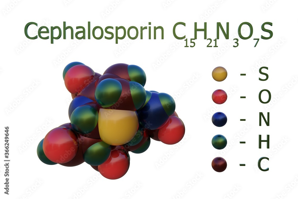 Structural chemical formula and molecular model of cephalosporin, a ...