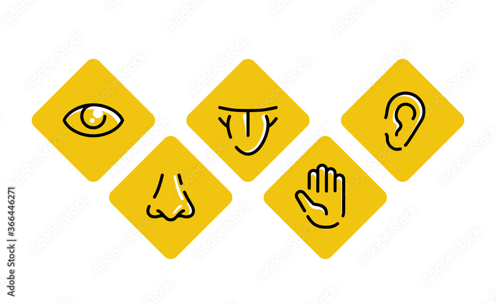 Vektor Five basic human senses - touch, sight, hearing, smell and taste ...