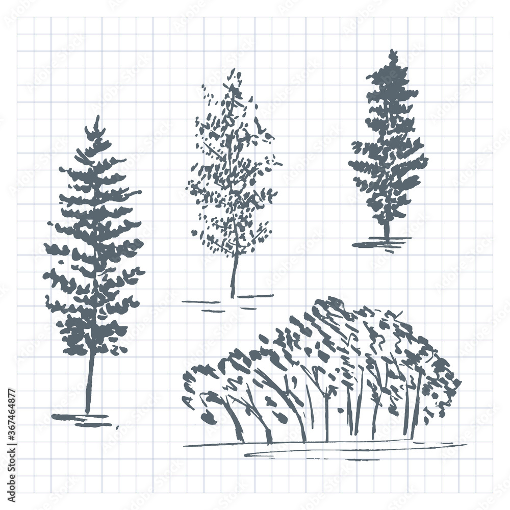 Sketch trees. Set of hand drawn silhouettes trees. Vector illustration ...