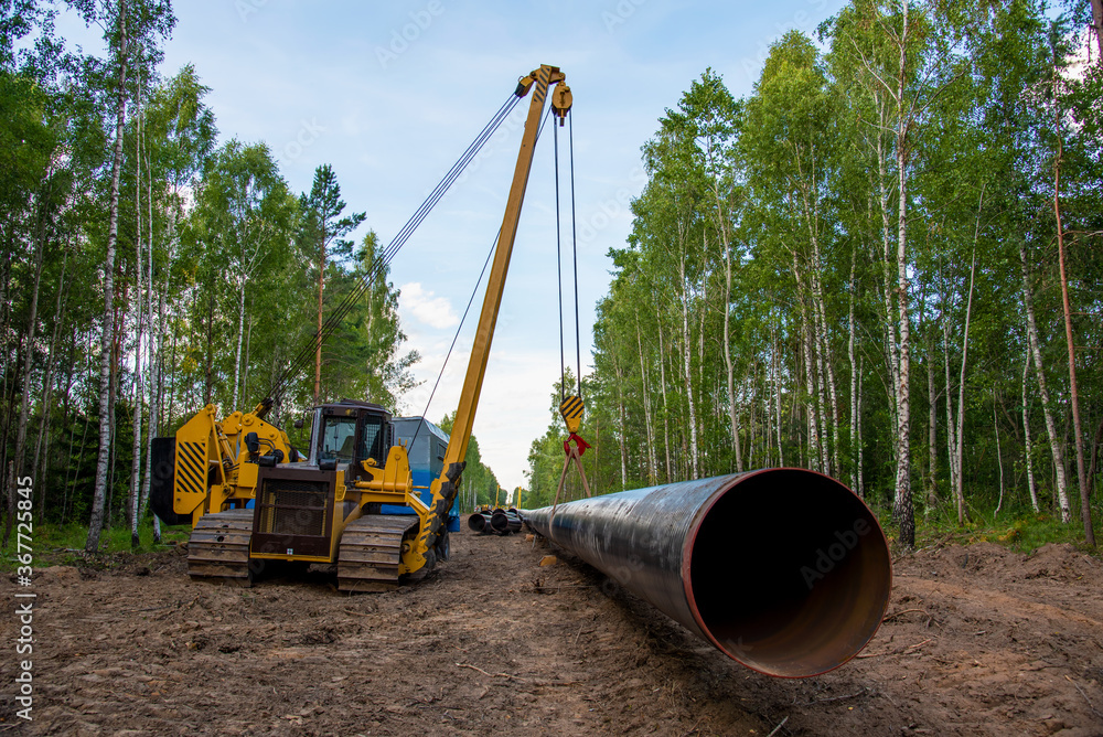 Natural gas pipeline construction work in forest area. Crawler crane ...