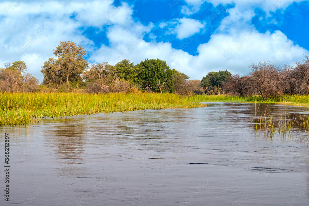 Okavango Wetlands Landscape, Okavango Delta, UNESCO World Heritage Site ...