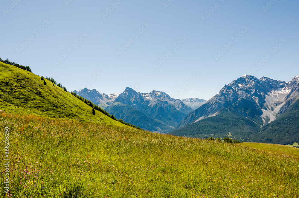 Foto Ftan, Tarasp, Unterengadin, Bergwiese, Bergdorf, Schloss, Fontana ...