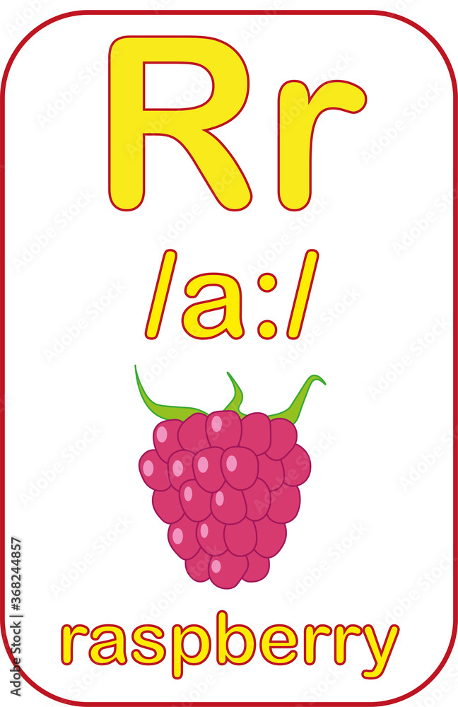 Letter R. Alphabet tutorial cards collection. Vector illustration ...