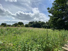 Red Calder Free Stock Photo - Public Domain Pictures