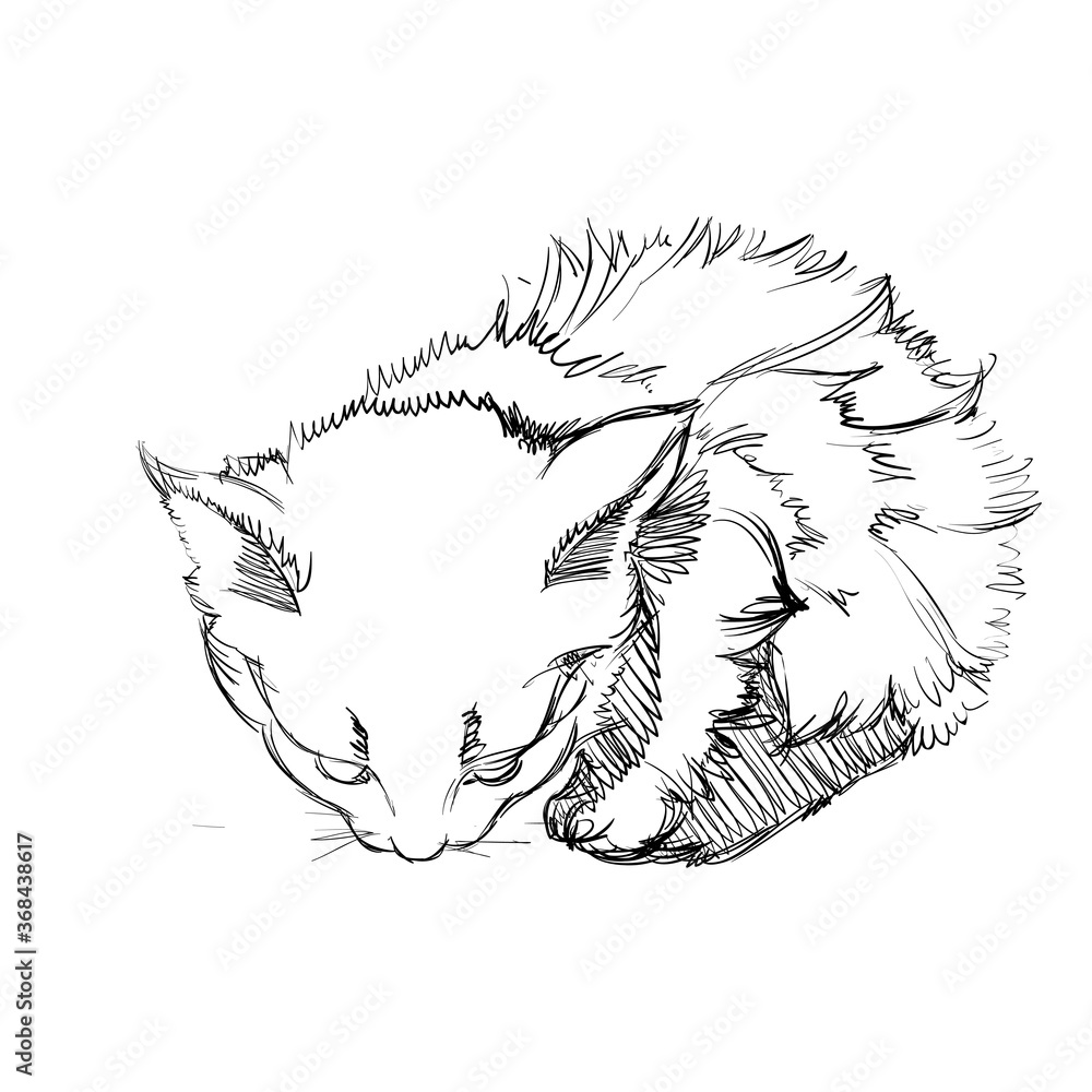 Vector Illustration of Adorable Cat. Sketched Little Cute Kitten ...