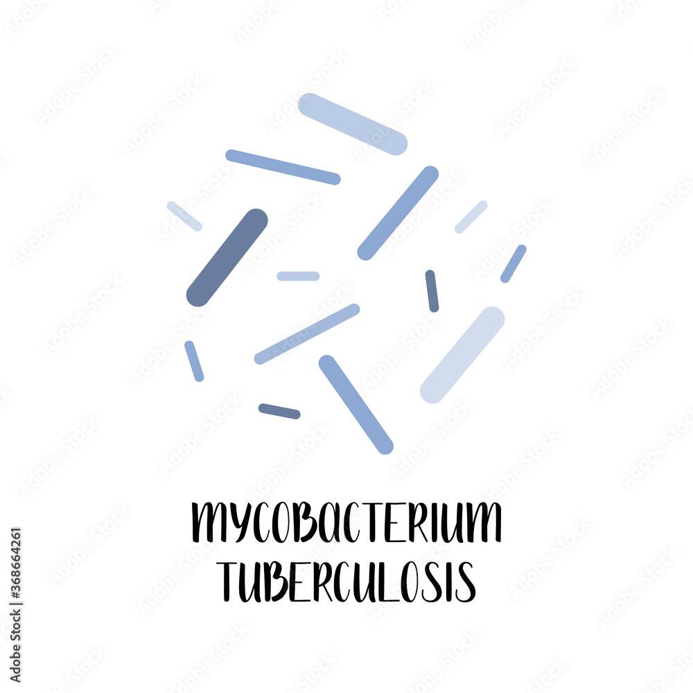 Mycobacterium tuberculosis. Pathogenic bacteria, causative agent of ...
