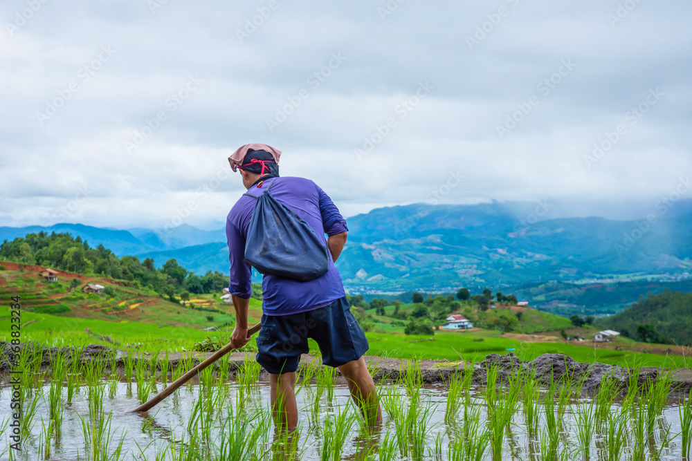 Farmers use the tools to dig the soil in the fields to repair the ridge ...