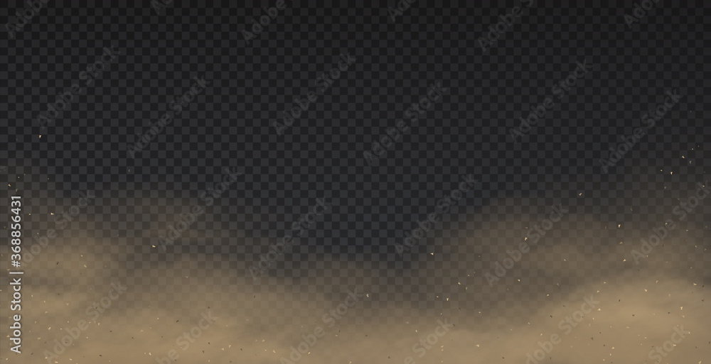 Realistic dust. Smoke effect and 3D mud powder pollution, sand storm ...